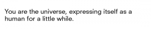 You Are The Universe Expressing Itself As A Human For A Little While